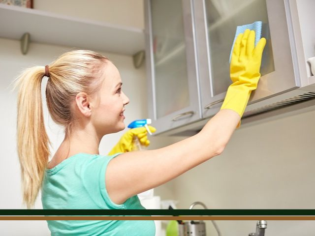 Profitable Cleaning Franchise of 30 Years | Listings | Transworld ...