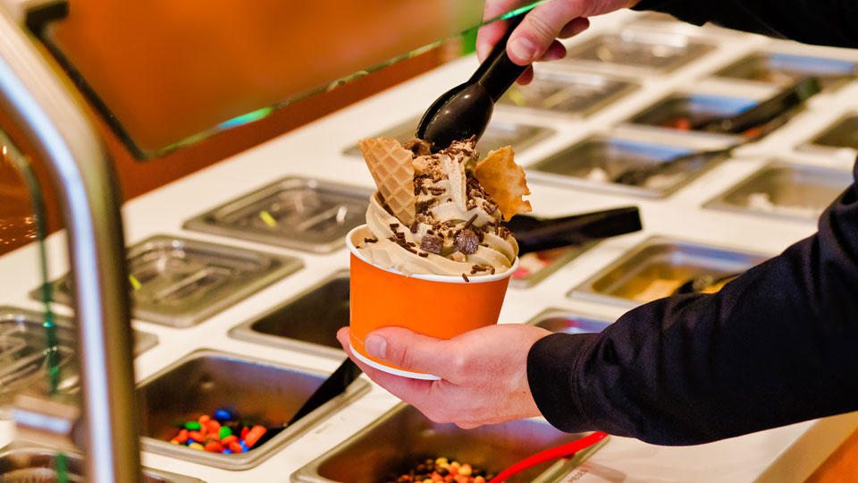 Frozen Yogurt Franchise or Independent Operation Opportunity - Greg ...