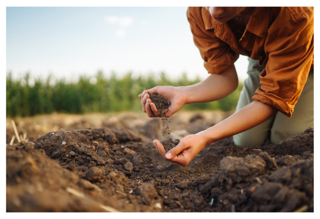 Patented Breakthrough in Organic Material Processing | Listings ...