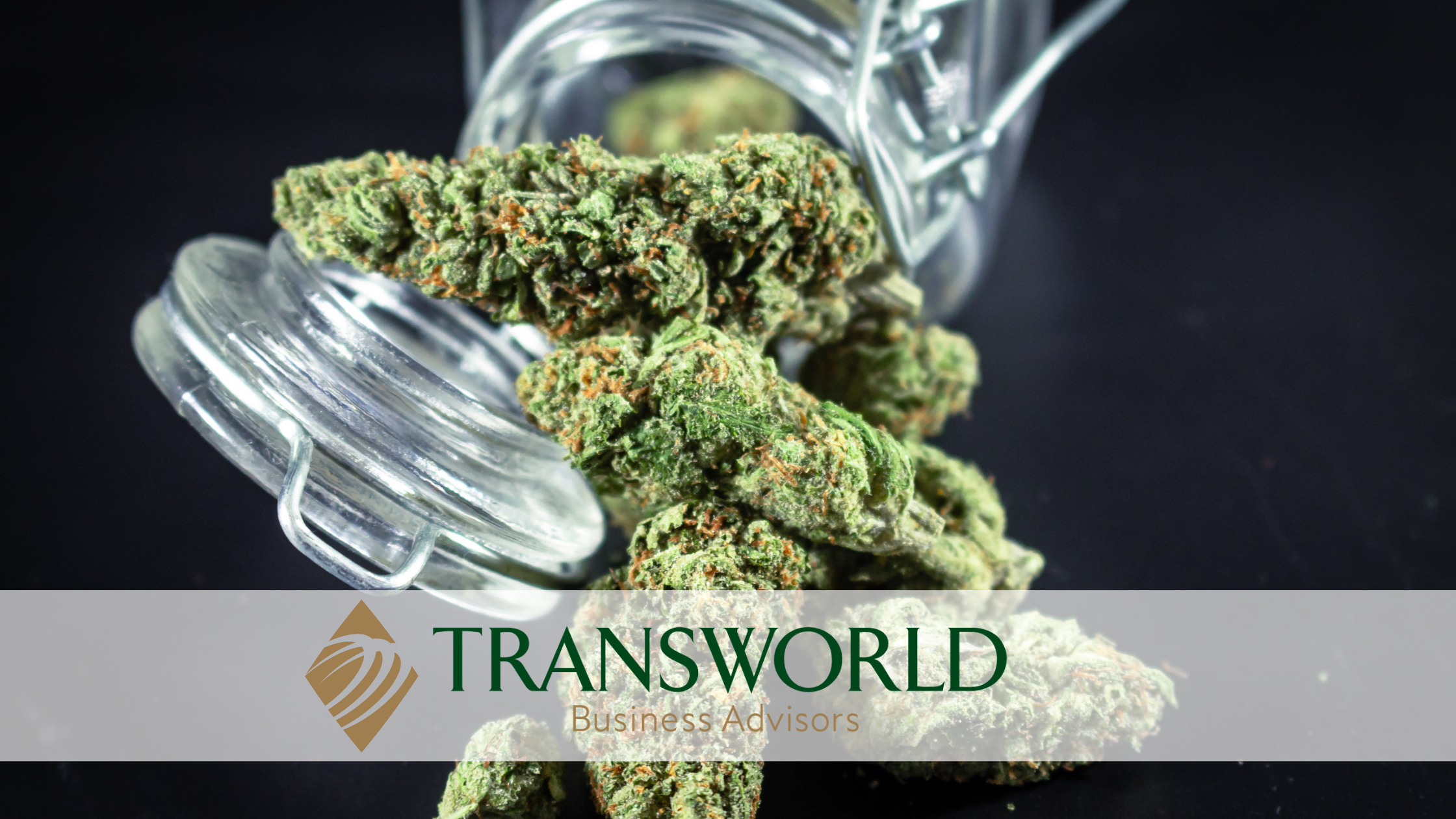 High-Growth THC-A Retail Store – Semi-Absentee Opportunity - Phillip ...