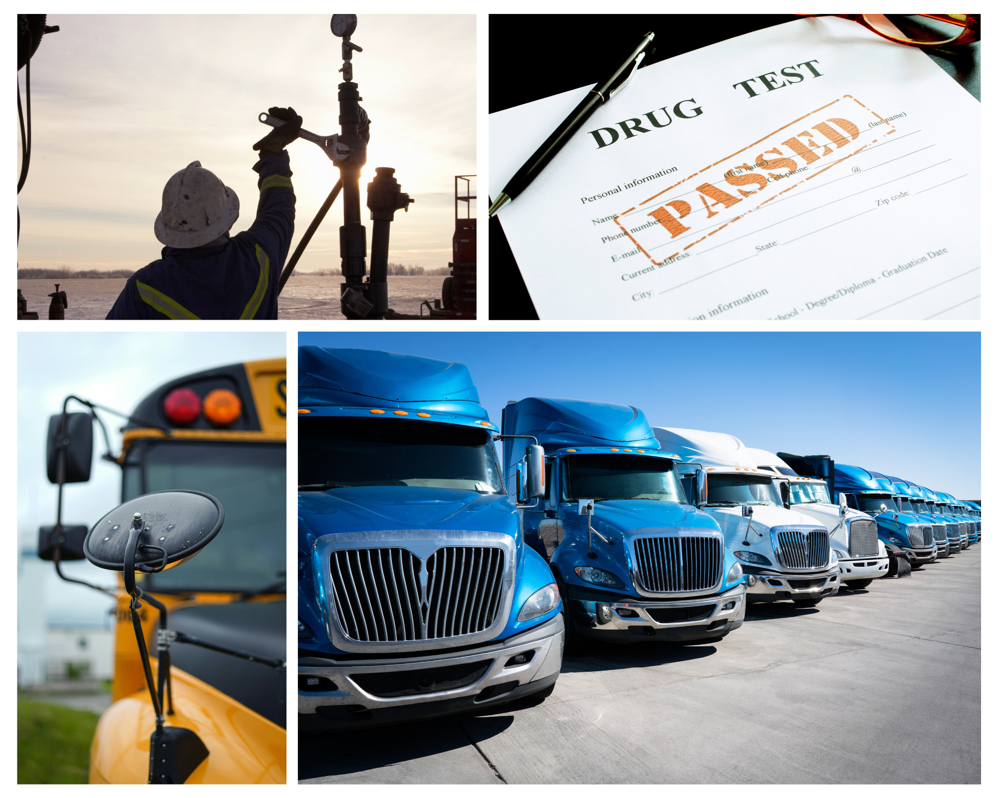 Industry Expert in Drug and Alcohol Testing | SBA Pre-Qualified - Berk ...