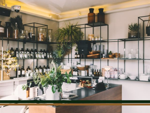 Specialty Botanical Supplement Wholesaler with National Reach ...