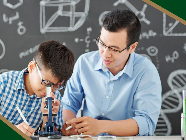 PROFITABLE Children's camp and learning Business, Home based ...